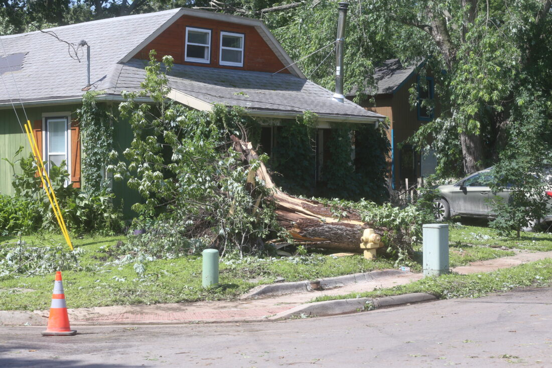 Overnight storm produces local damage; high winds down trees, homes in ...